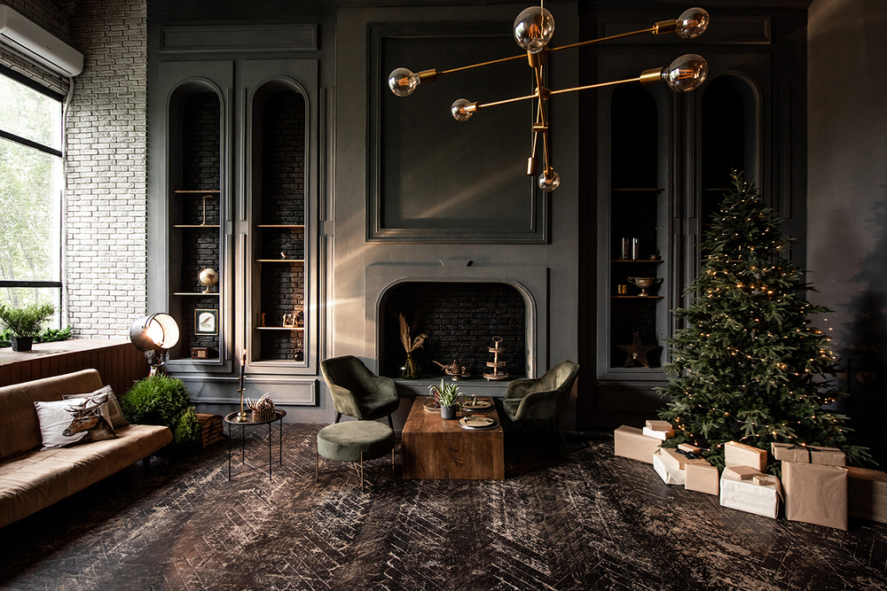 Студійні новорічні фотосесії в Житомирі та Києві