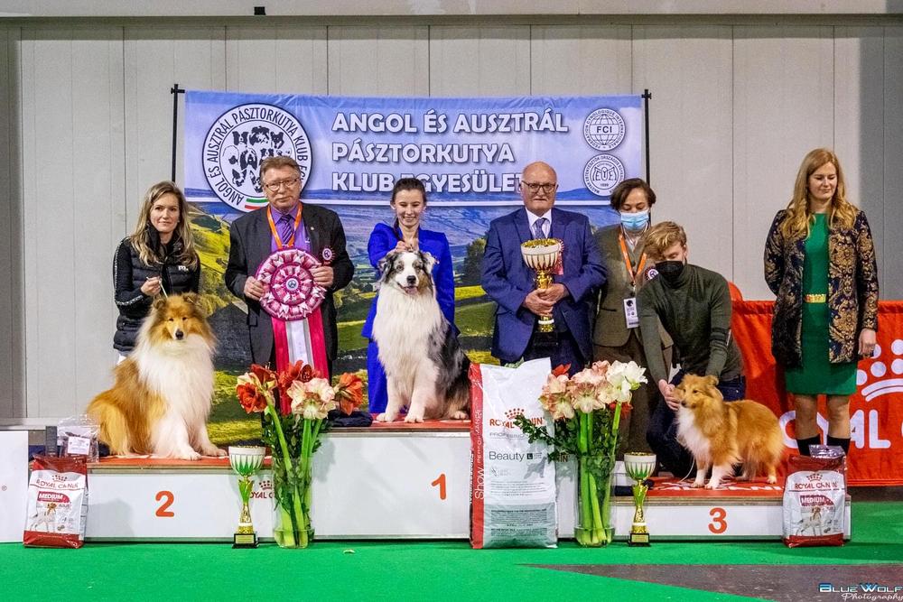 European club show 2021