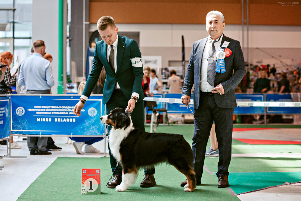 Выставки и соревнования