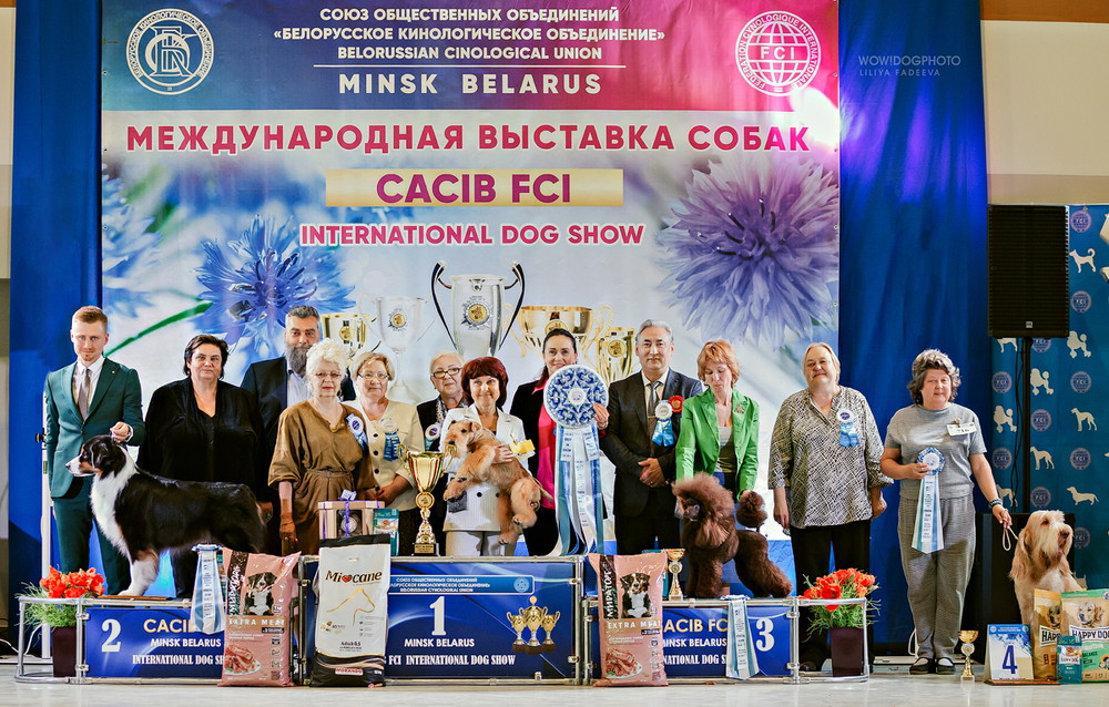 Выставки и соревнования