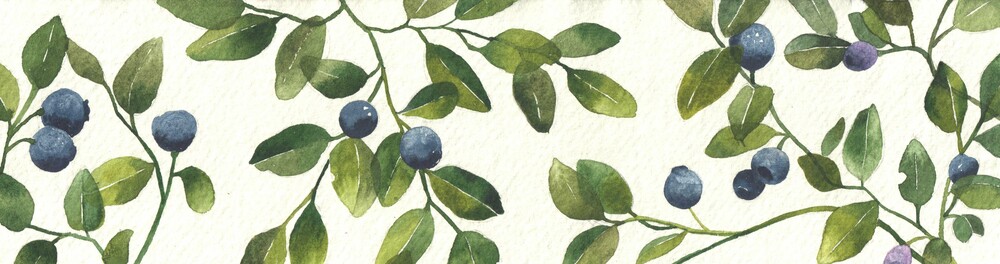 Blueberry Pattern. Step-by-step