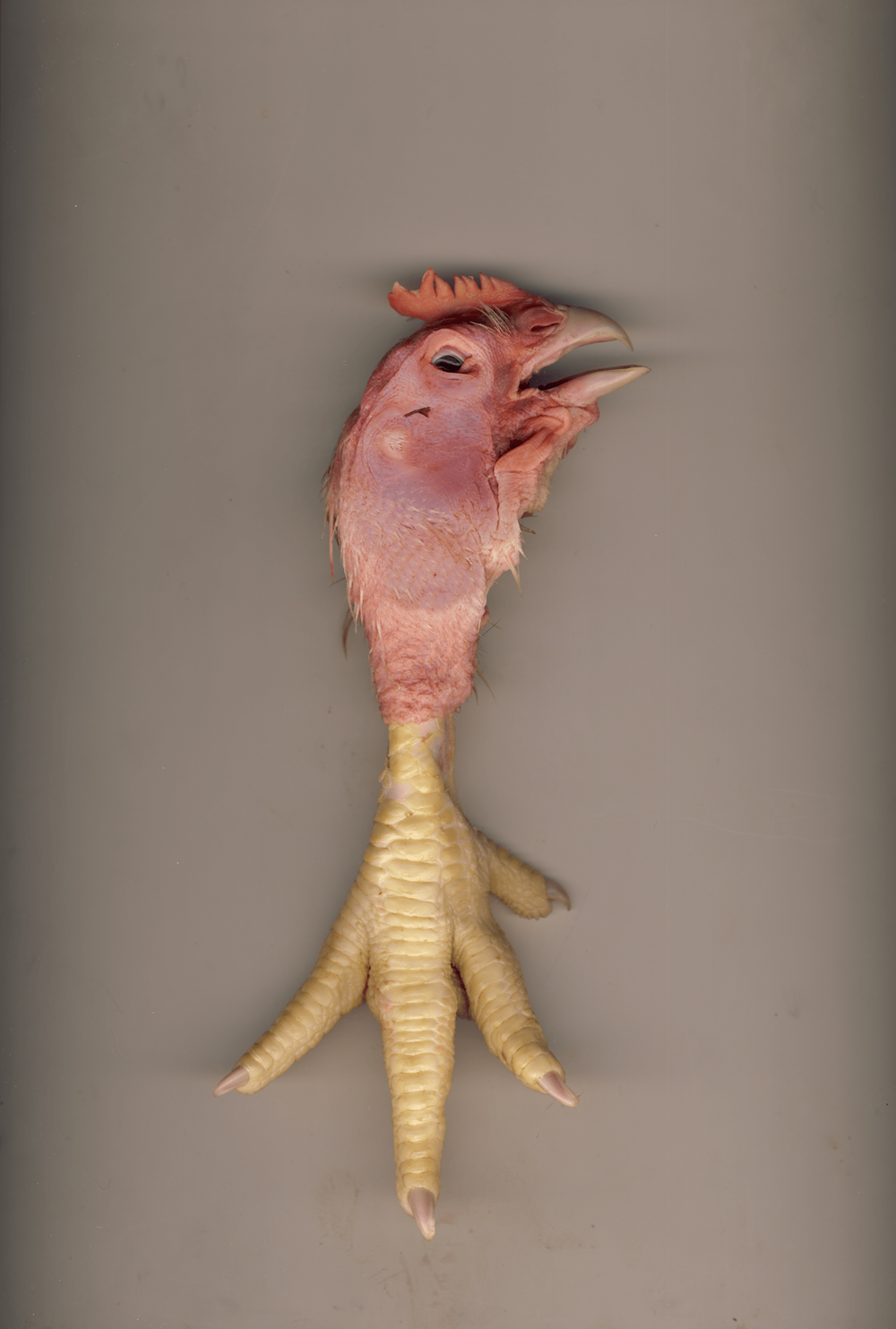 Pale Fire /with Ilya Smirnov