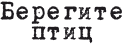 Одежда "Берегите птиц" - стильные женские тельняшки, тельняшки с ...
