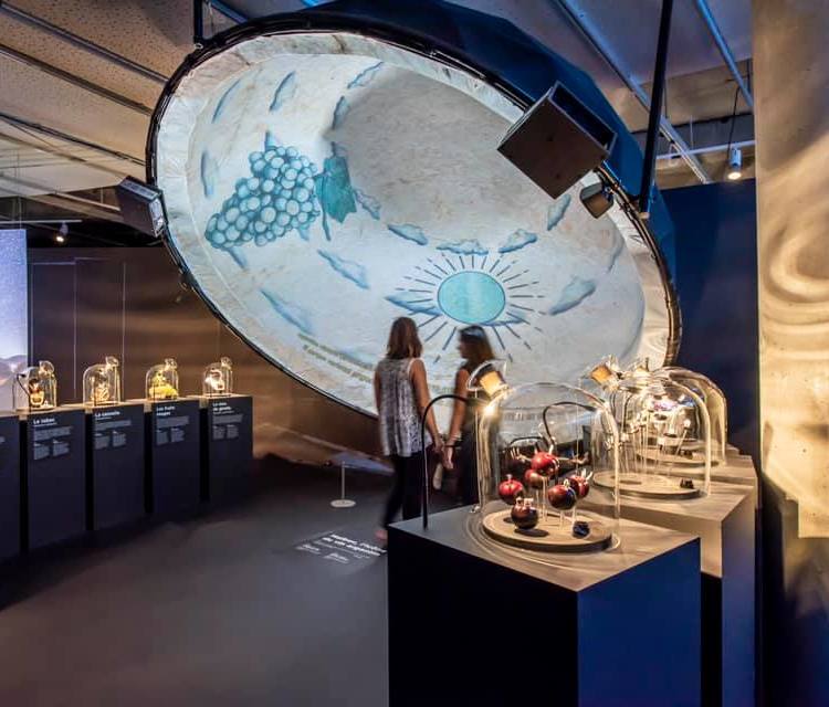 Open Dome - studio geodesic structures, event tents with steel or ...