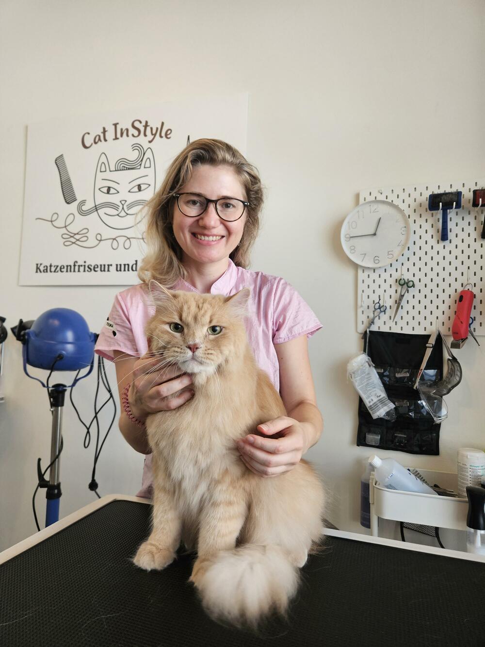 Mobiler Katzenfriseur In Der Nahe