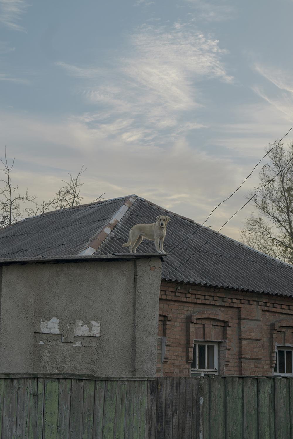 Interview with artist Polina Polikarpova