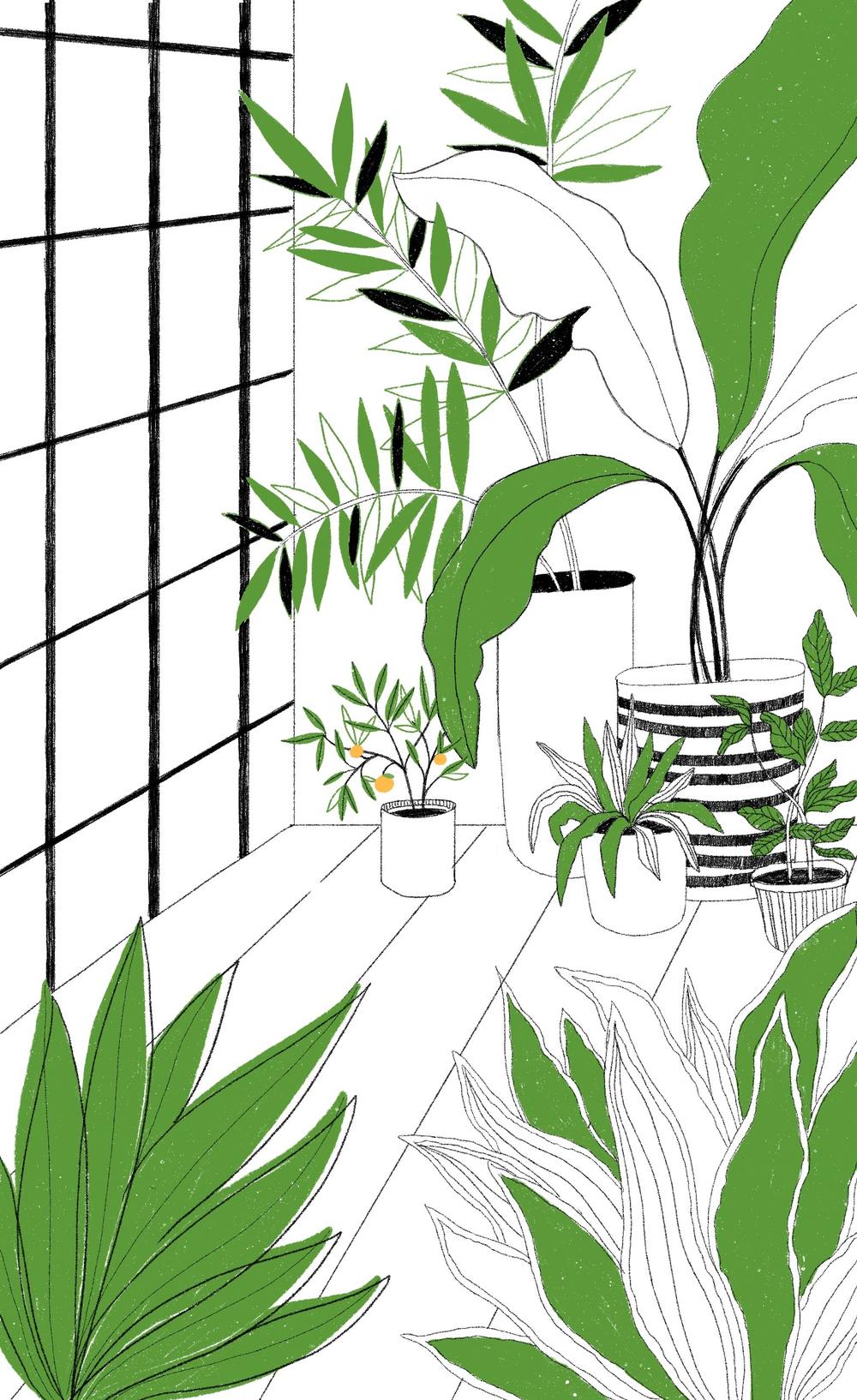 Sofiya Levina Portfolio