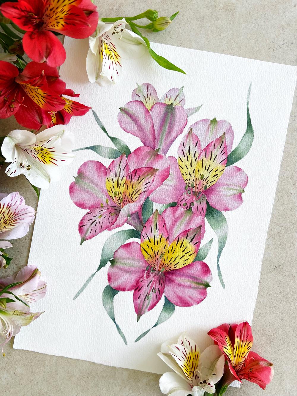 Подробнее Розовые альстромерии