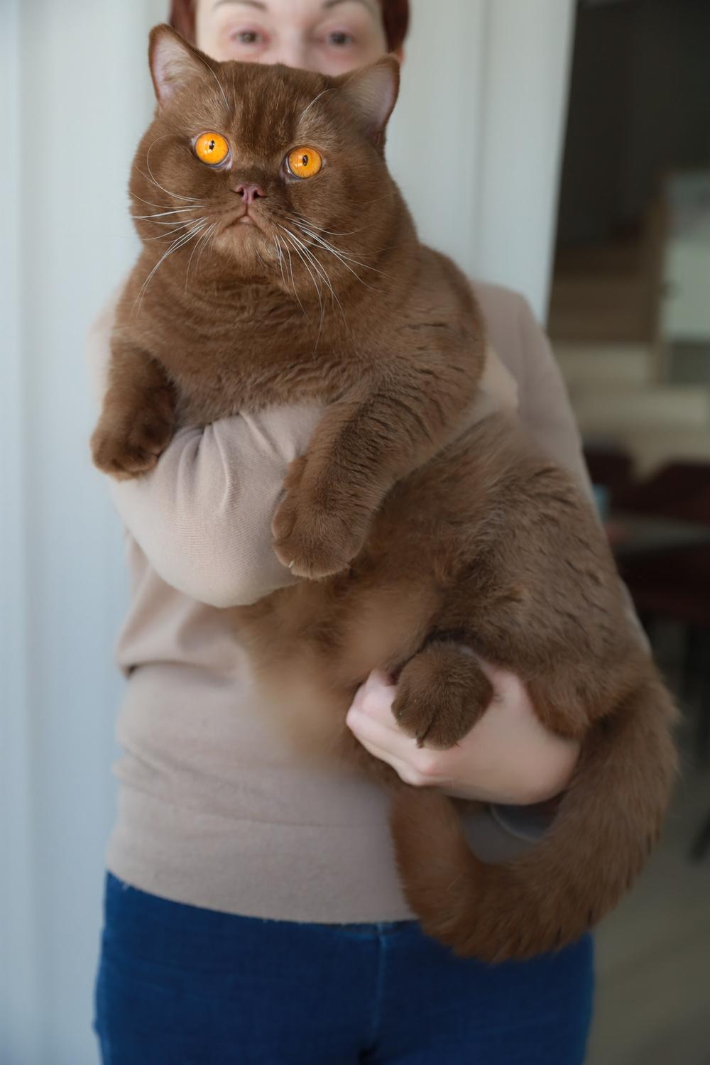 Delaware Peter& Louis